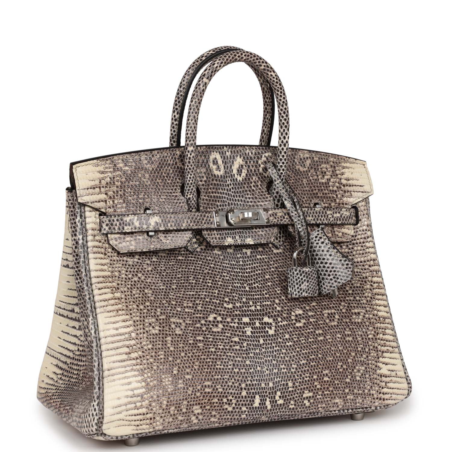 Hermes Birkin 25 Ombre Varanus Salvator Lizard Palladium Hardware