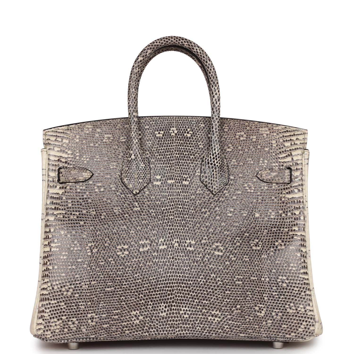 Hermes Birkin 25 Ombre Varanus Salvator Lizard Palladium Hardware