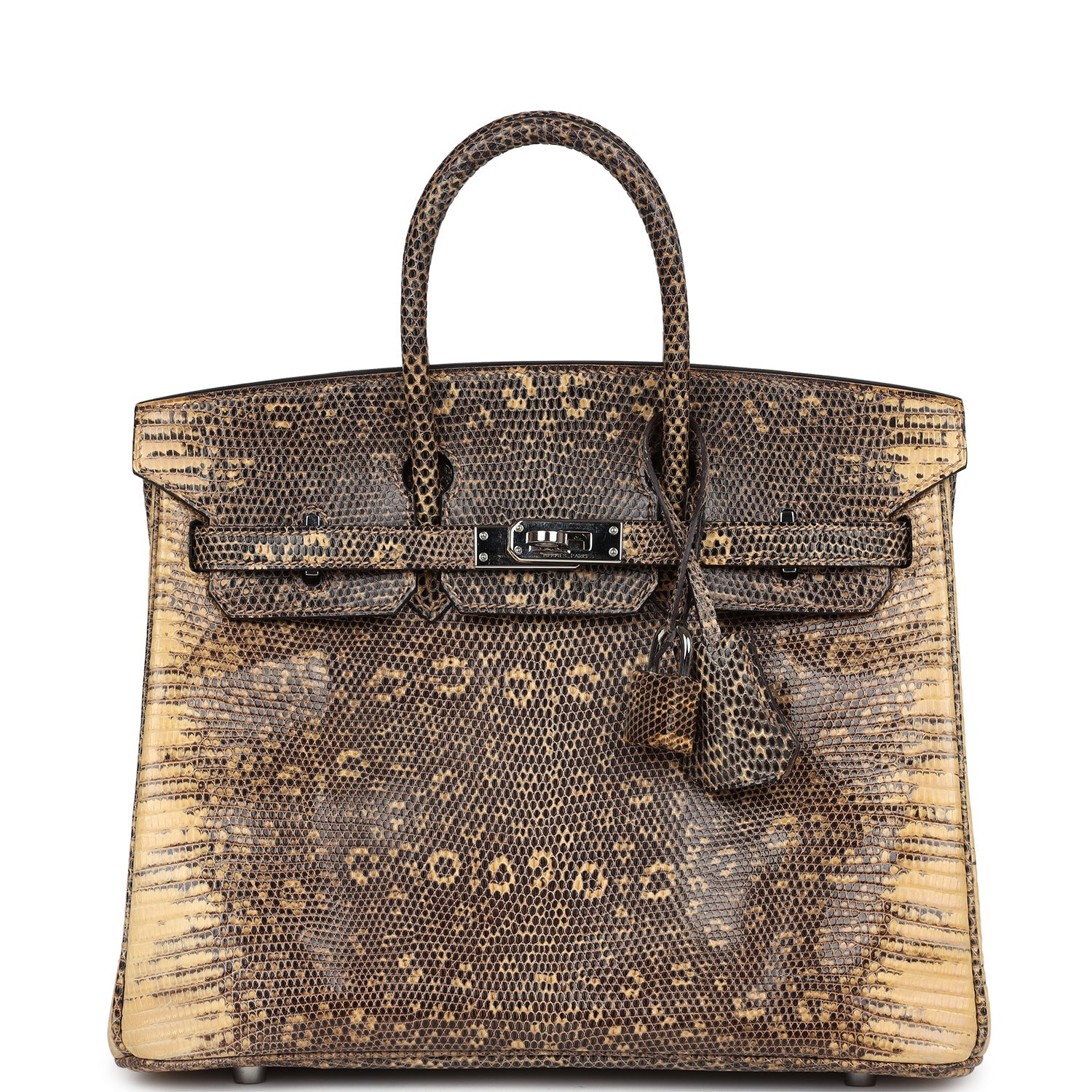 Pre-Owned Hermes Birkin 25 Ombre Varanus Salvator Lizard Palladium Har