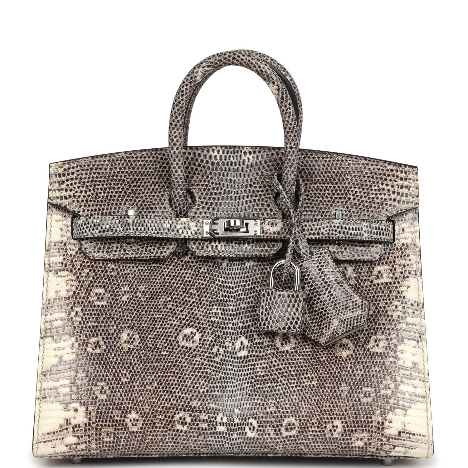 Hermes Birkin Sellier 20 Ombre Varanus Salvator Lizard Palladium Hardw