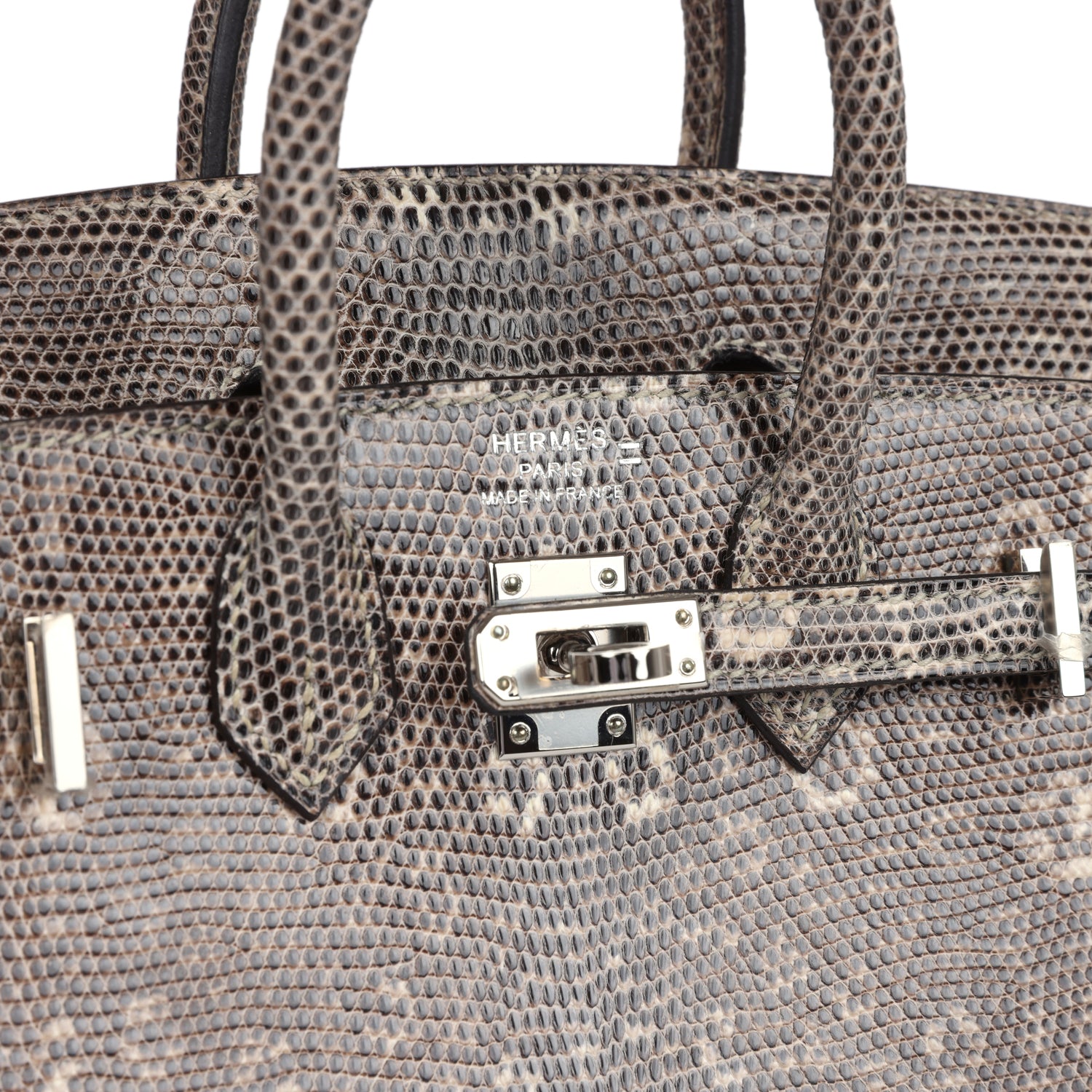 Hermes Birkin Sellier 20 Ombre Varanus Salvator Lizard Palladium Hardw