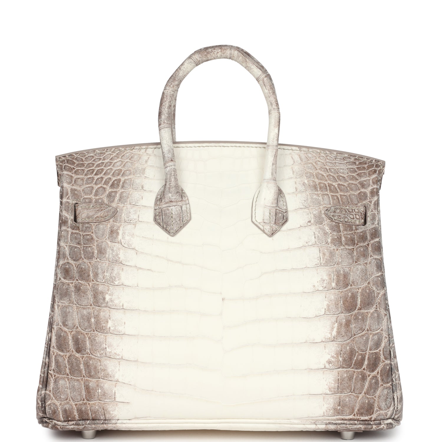 Hermes Birkin 25 Himalaya Niloticus Crocodile Diamond Encrusted Pallad