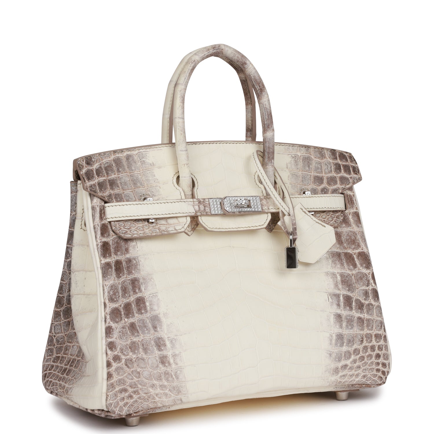 Hermes Birkin 25 Himalaya Niloticus Crocodile Diamond Encrusted Hardwa